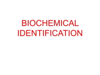 Biochemical Identification of bacteria 2023 sk.ppt | Blood Disorders ...