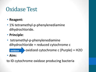 Biochemical id testing 2012 By Miss Sawsan Flemban | PPT