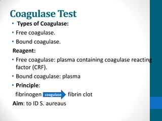 Biochemical id testing 2012 By Miss Sawsan Flemban | PPT