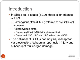 Biochemical investigations and management of sickle cell nephropathy.pptx