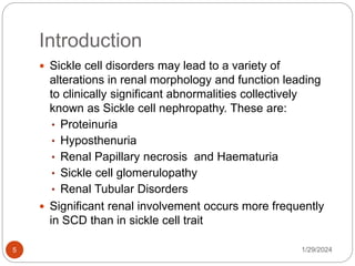 Biochemical investigations and management of sickle cell nephropathy.pptx