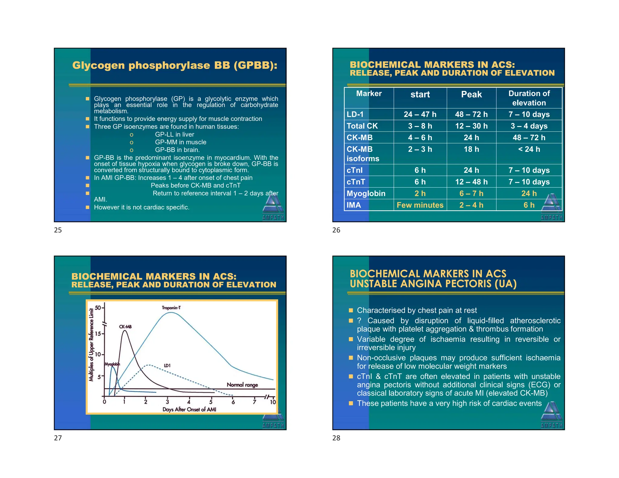 BIOCHEMICAL MARKERS IN CARDIAC DISEASE.pdf