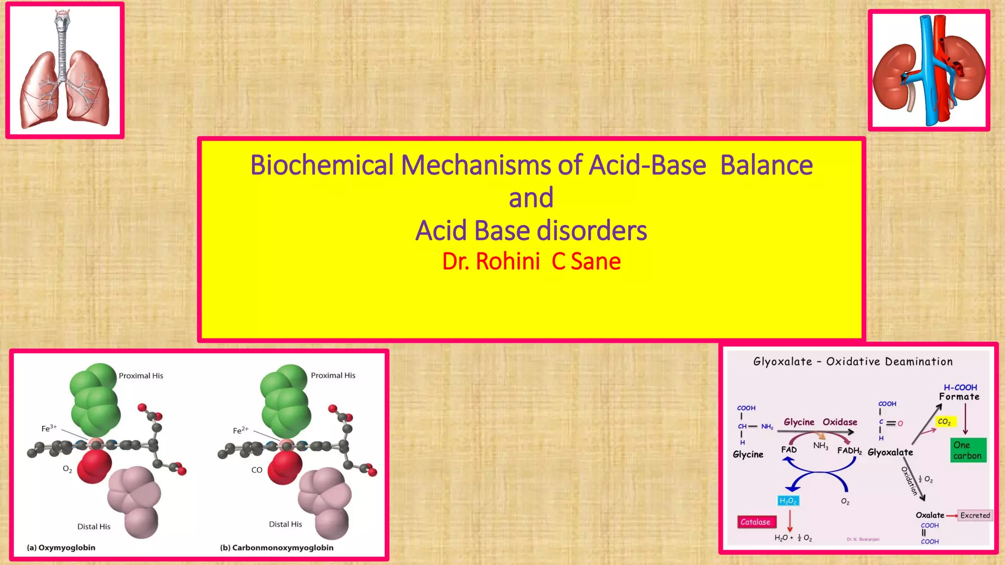 Biochemical mechanismsof acid base balance and acid base disorders | PDF