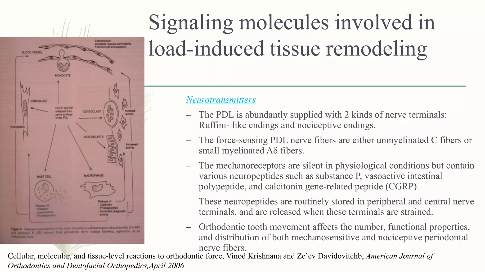 Biochemical and pharmacological mediators of orthodontic tooth movement ...