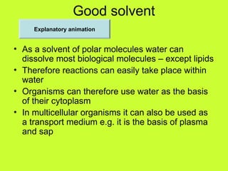 Biochemical molecules intro plus water.ppt