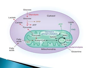 Biochemical organization of the cell | PPTX
