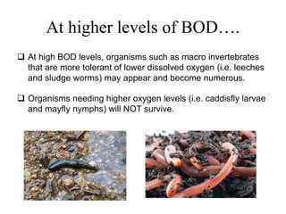 Biochemical oxygen demand | PPTX