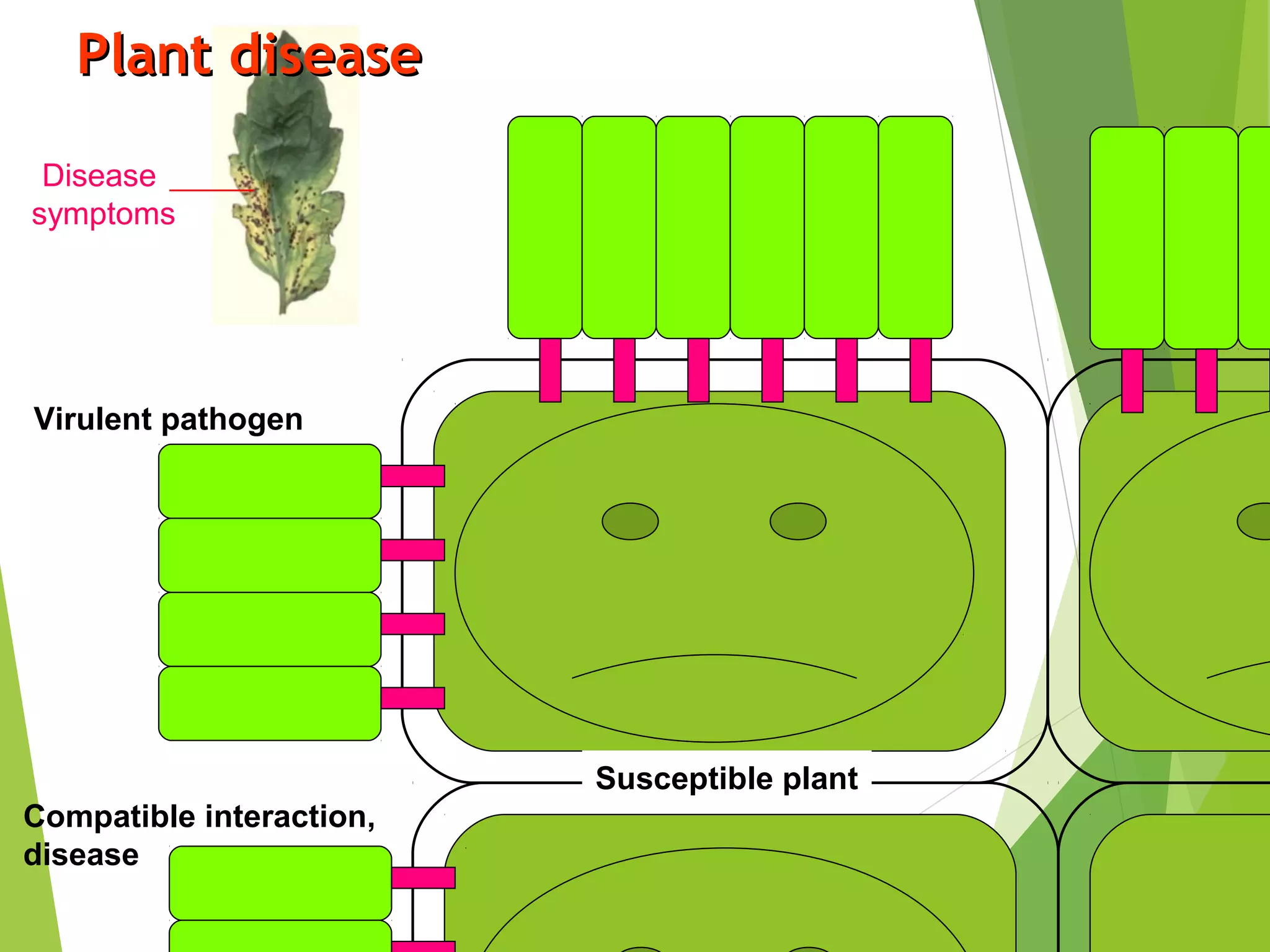 Biochemical plant defences(HR) | PPT | Gardening | Home & Garden
