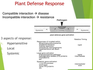 Biochemical plant defences(HR) | PPT | Gardening | Home & Garden