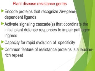 Biochemical plant defences(HR) | PPT