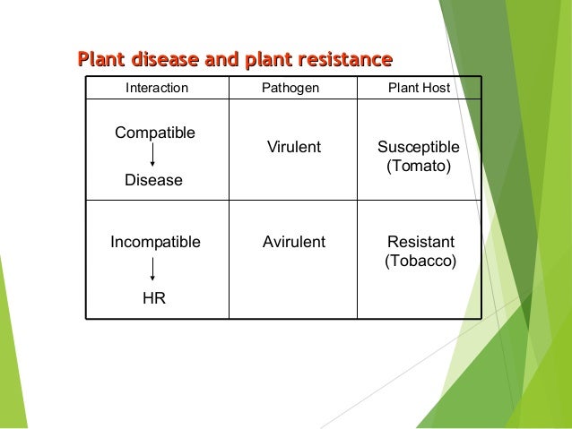Biochemical plant defences(HR)