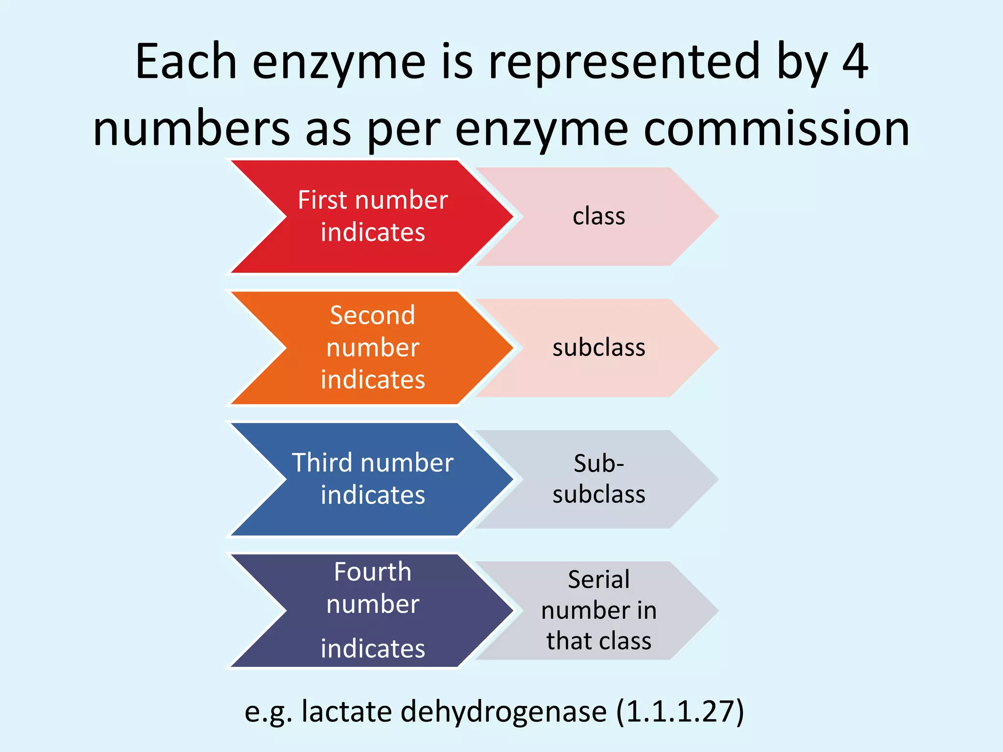 Biochemical principles of enzyme action | PPTX