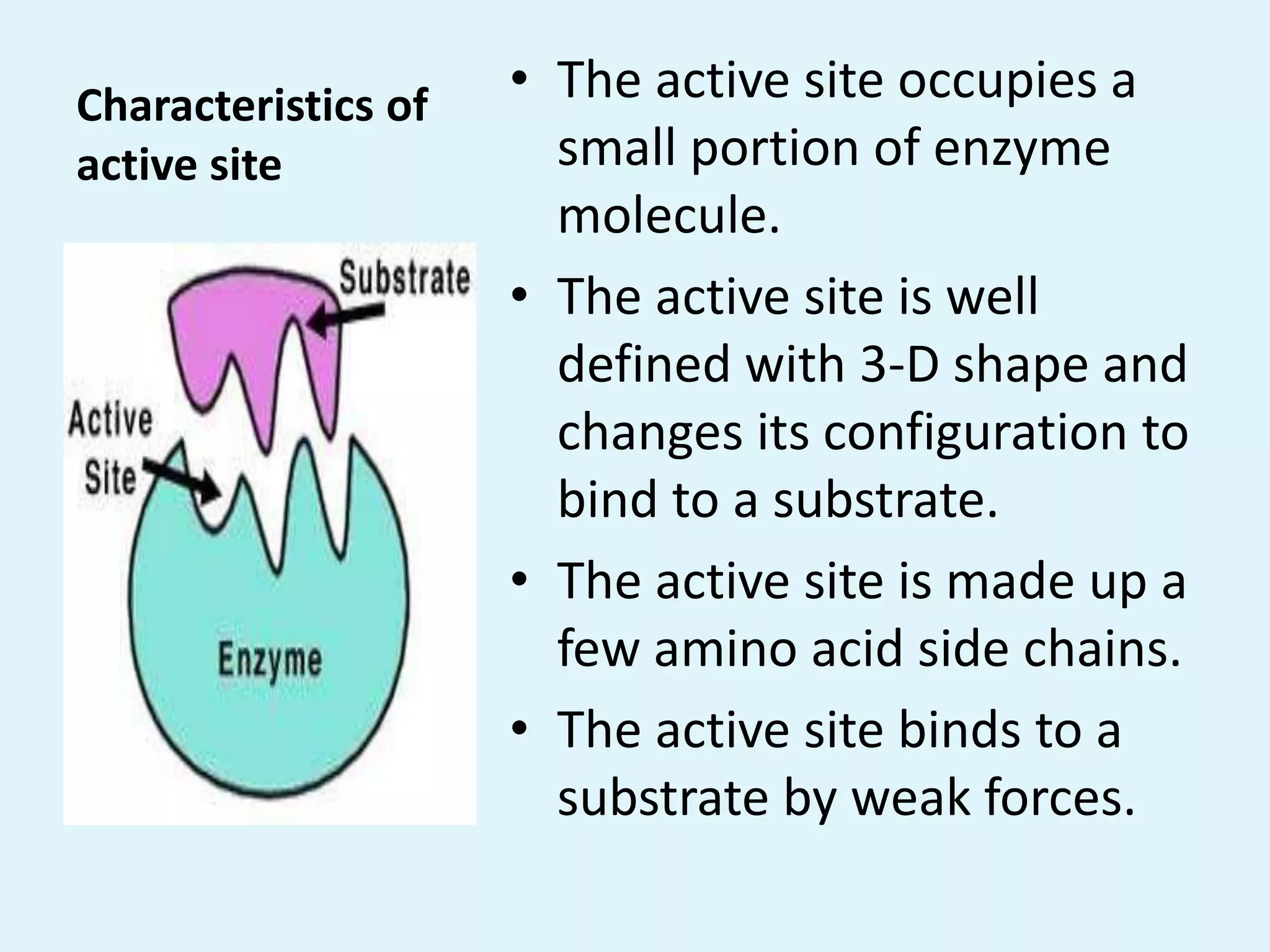 Biochemical principles of enzyme action | PPTX
