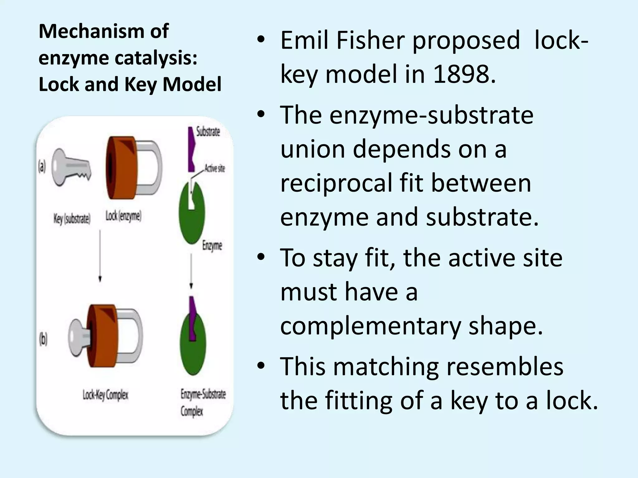 Biochemical principles of enzyme action | PPTX