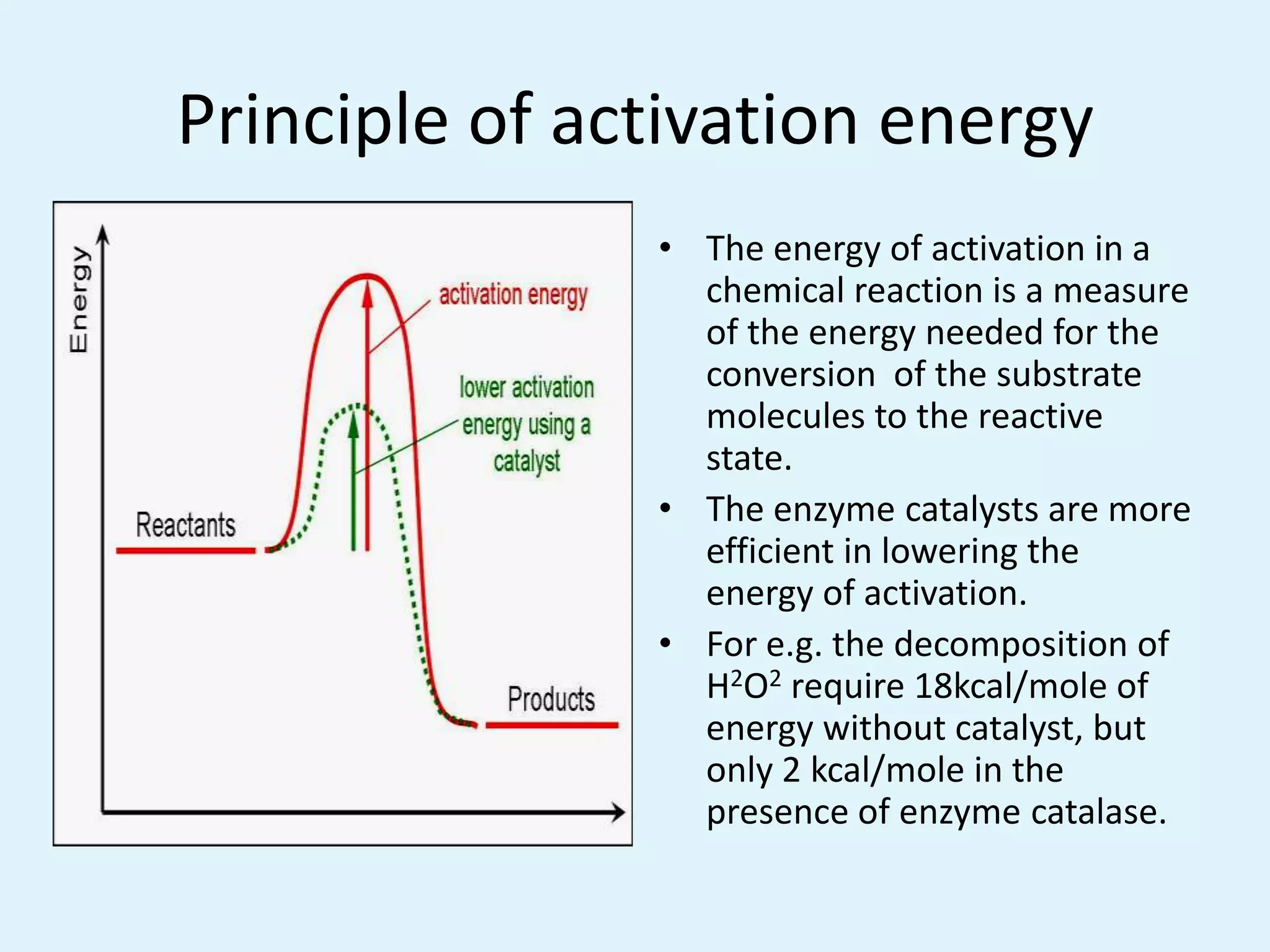 Biochemical principles of enzyme action | PPTX