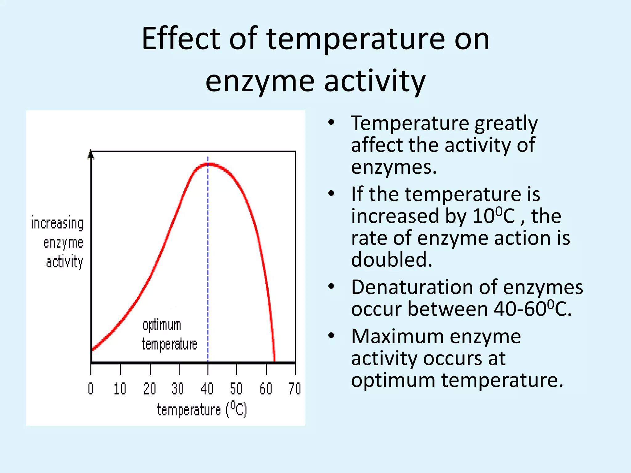 Biochemical principles of enzyme action | PPTX