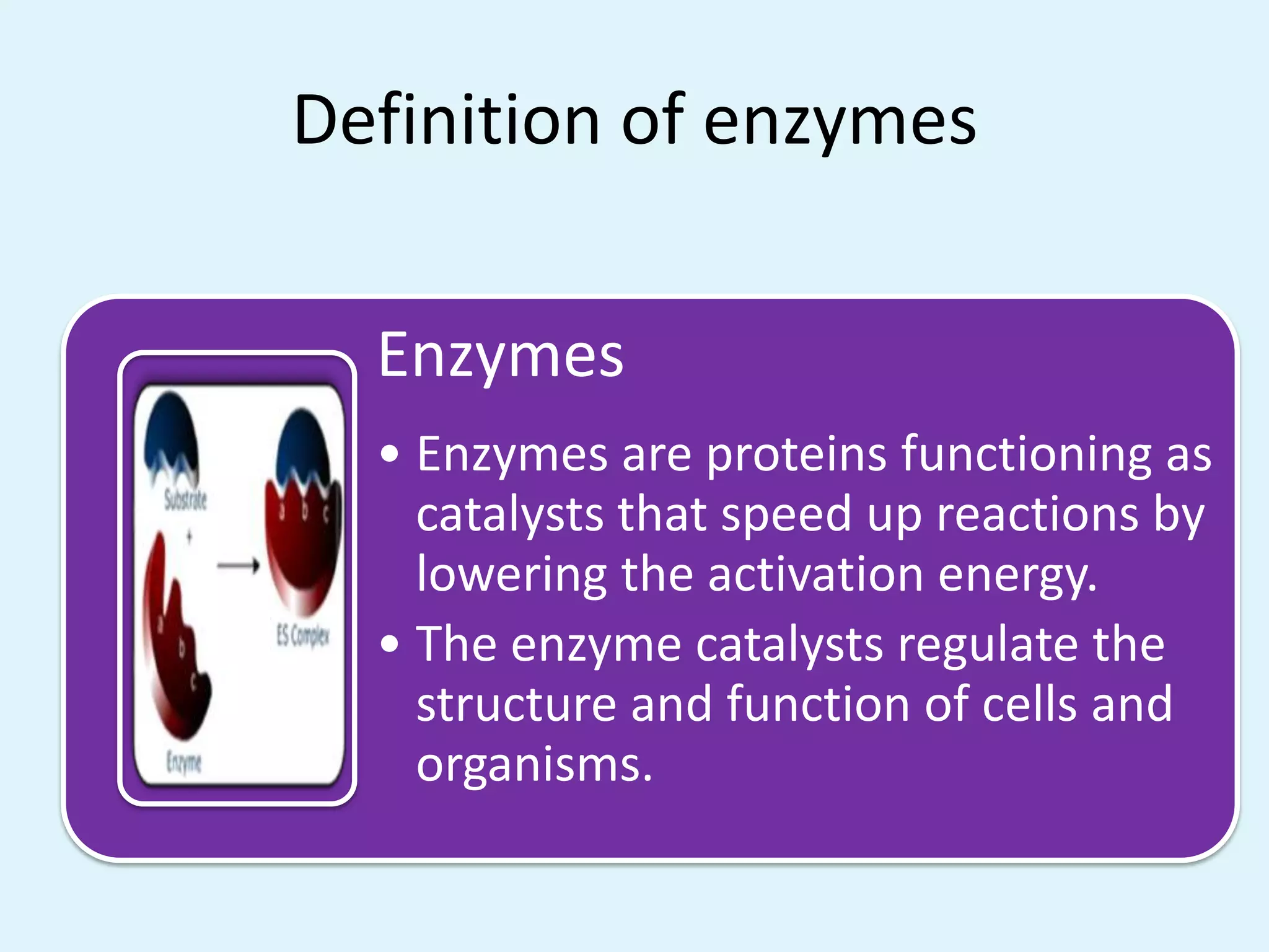 Biochemical principles of enzyme action | PPTX