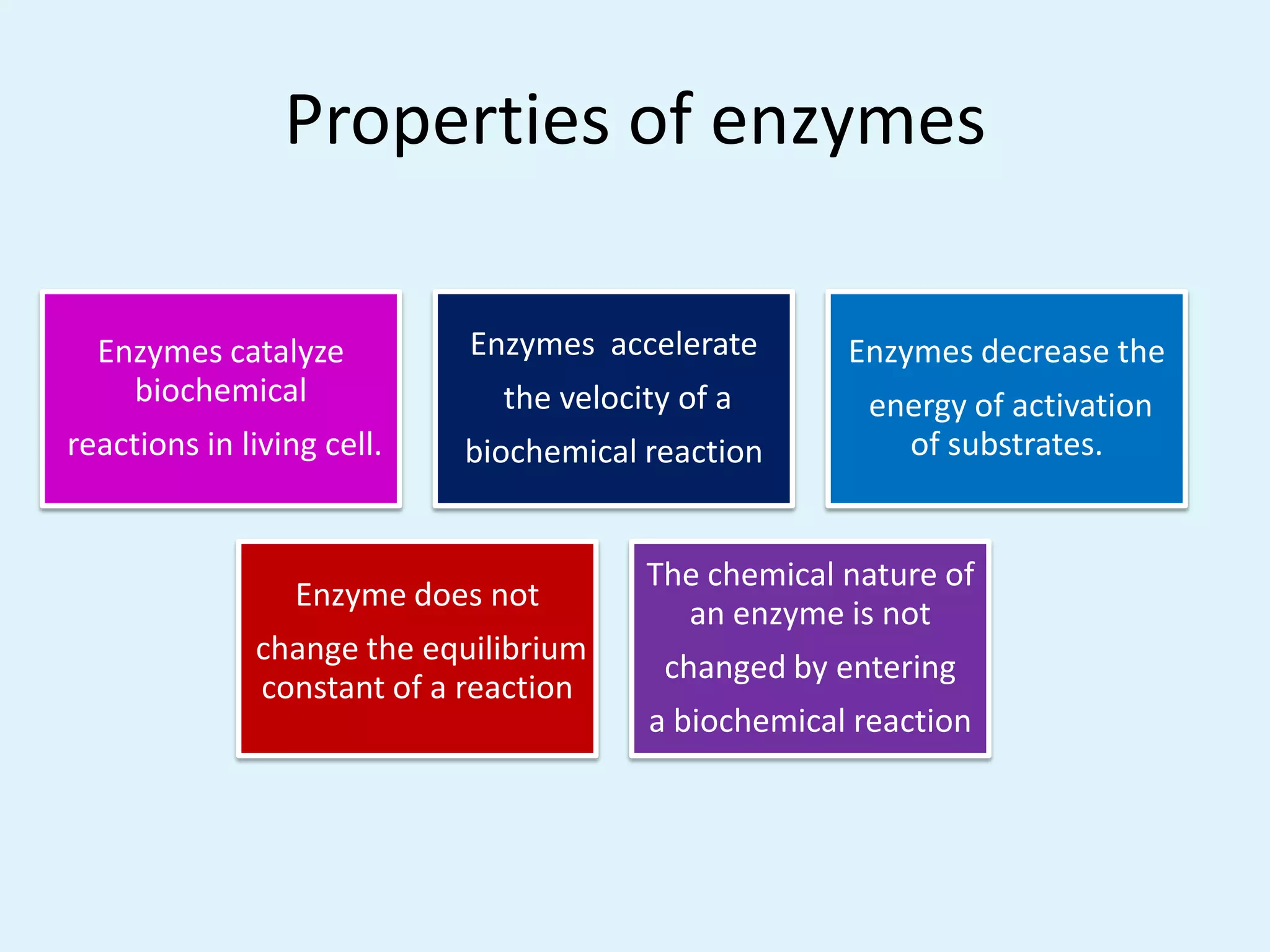 Biochemical principles of enzyme action | PPTX