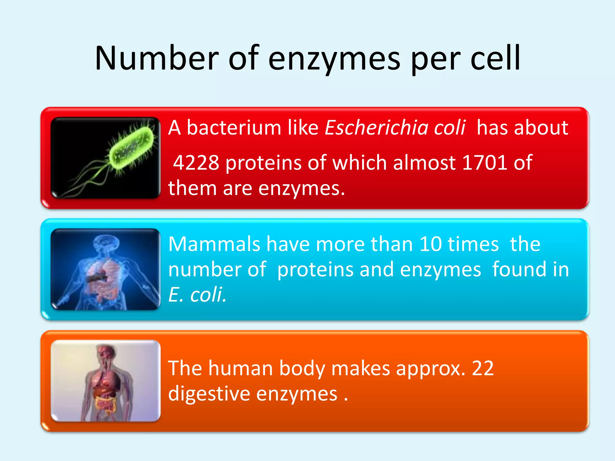 Biochemical principles of enzyme action | PPTX