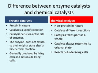Biochemical principles of enzyme action | PPTX