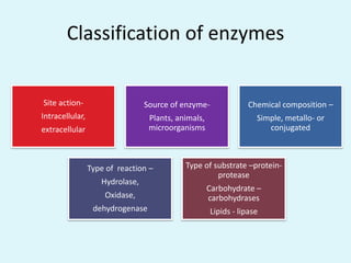 Biochemical principles of enzyme action | PPTX