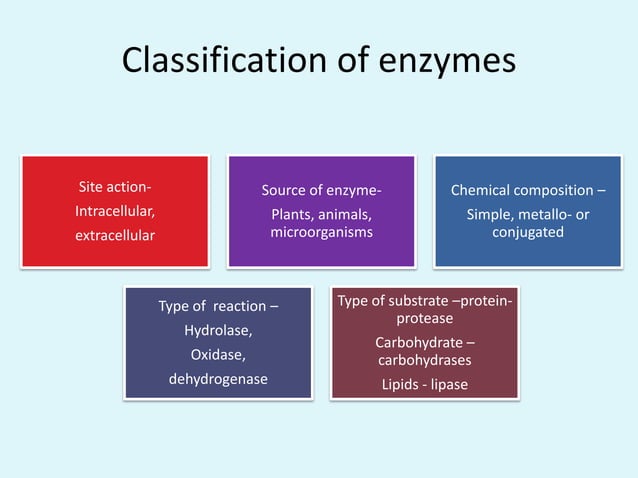 Biochemical principles of enzyme action | PPTX