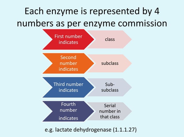 Biochemical principles of enzyme action | PPTX
