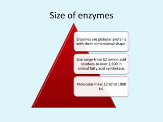 Biochemical principles of enzyme action | PPTX