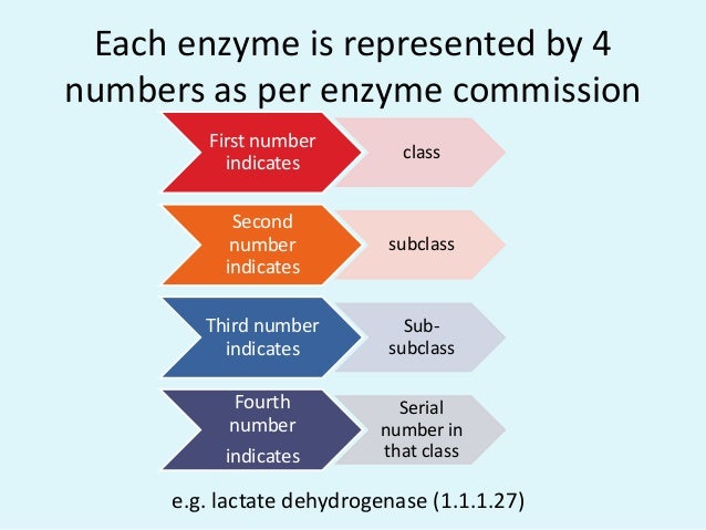 Biochemical principles of enzyme action