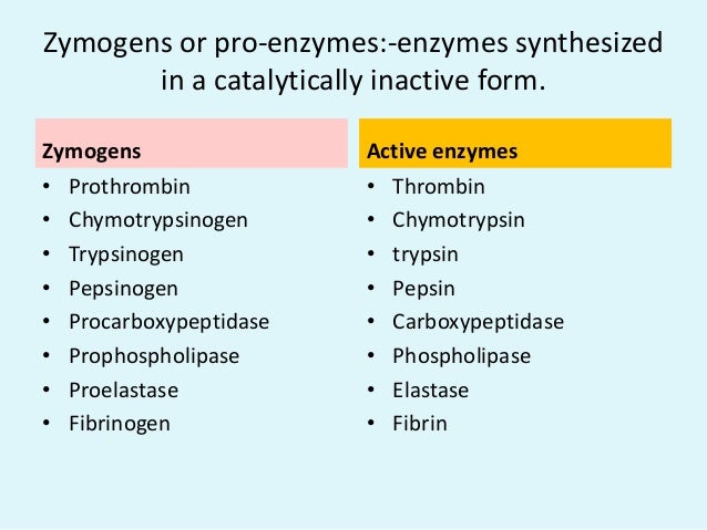 Biochemical principles of enzyme action