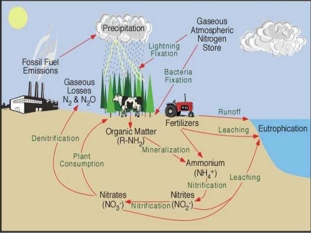Biochemical process.pptx 123