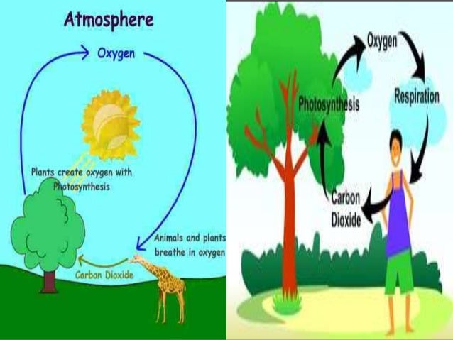 Biochemical process.pptx 123