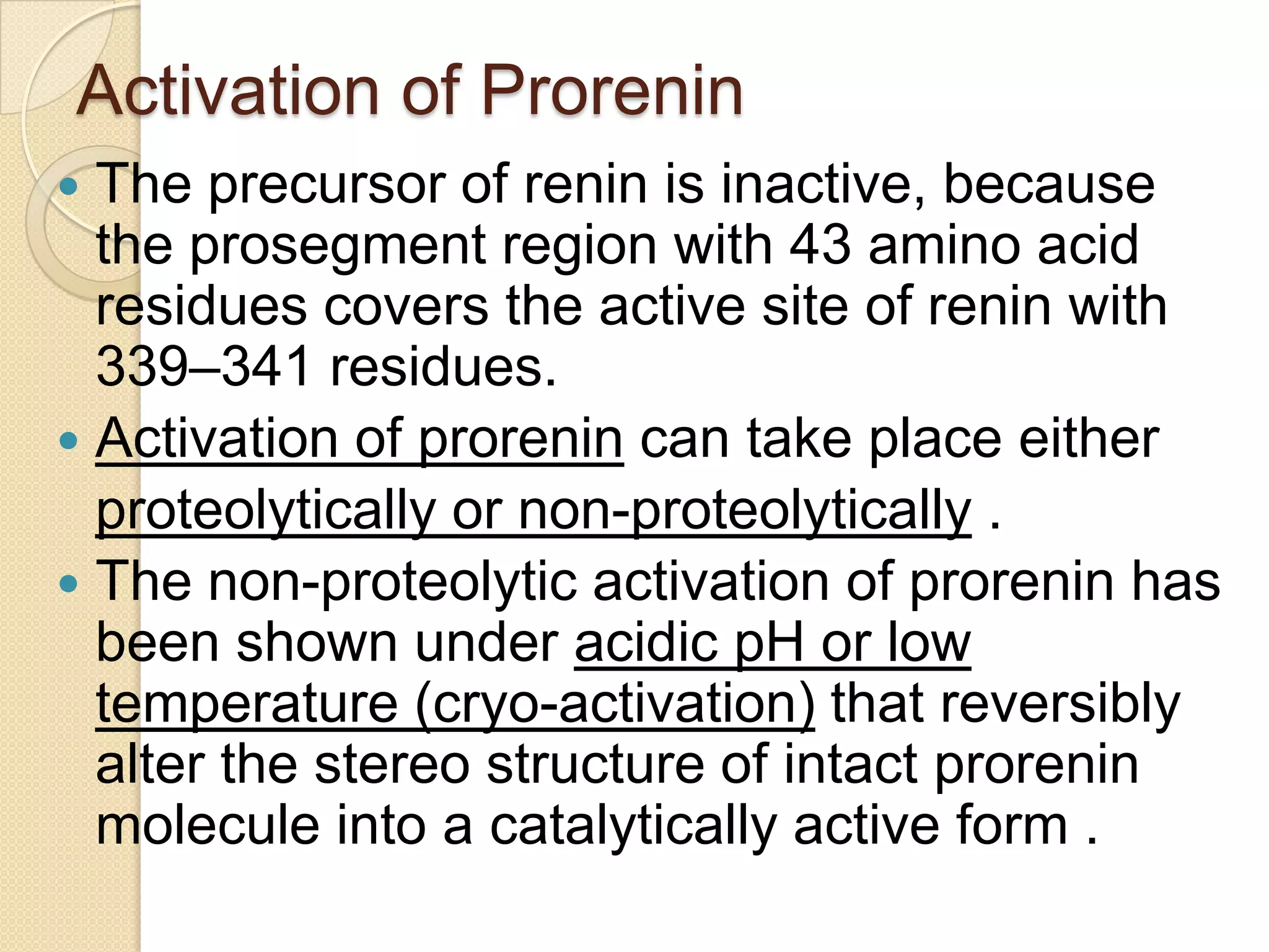 Biochemical properties of renin and prorenin binding | PPT