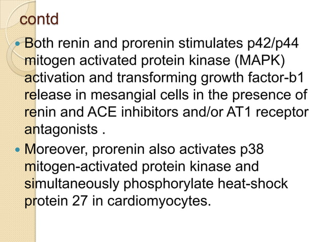 Biochemical properties of renin and prorenin binding | PPT
