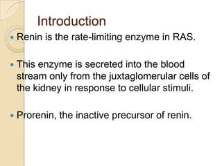 Biochemical properties of renin and prorenin binding | PPT
