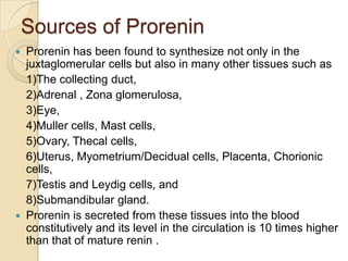 Biochemical properties of renin and prorenin binding | PPT
