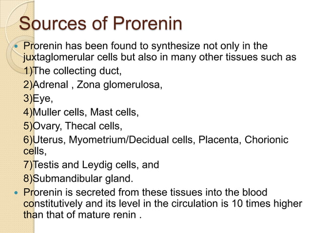 Biochemical properties of renin and prorenin binding | PPT
