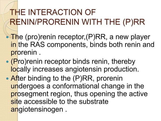 Biochemical properties of renin and prorenin binding | PPT