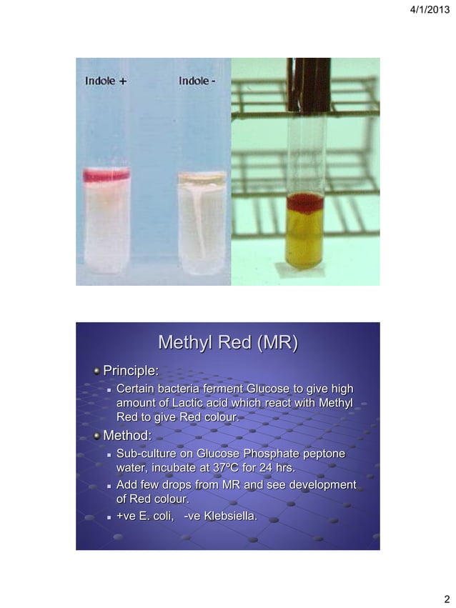 Biochemical reaction mahadi ppt | PDF