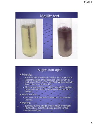 Biochemical reaction mahadi ppt | PDF