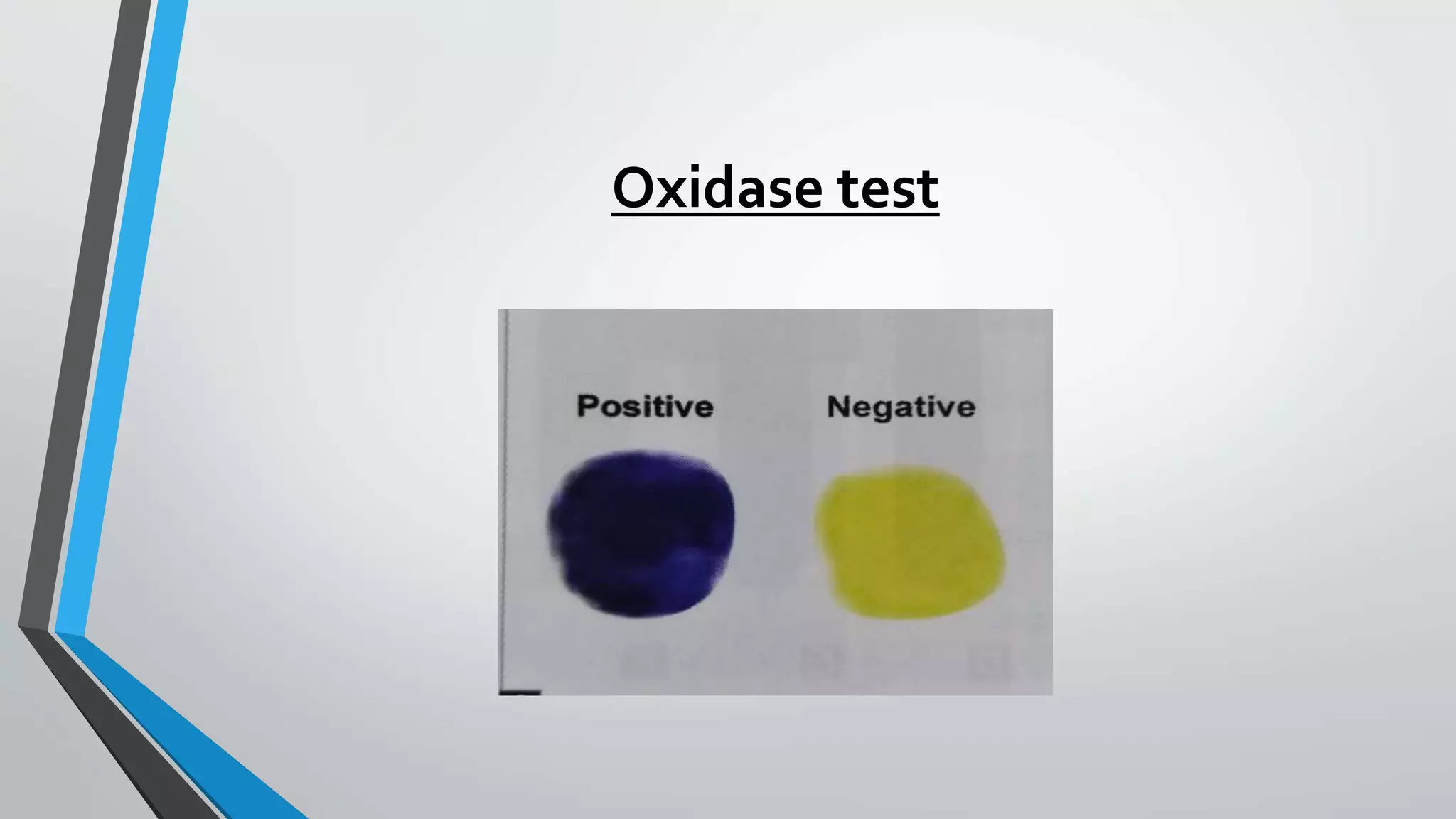 Biochemical reaction | PPTX