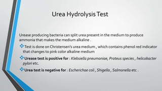 Biochemical reaction | PPTX