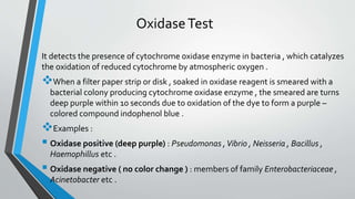 Biochemical reaction | PPTX