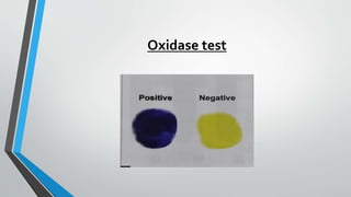 Biochemical reaction | PPTX