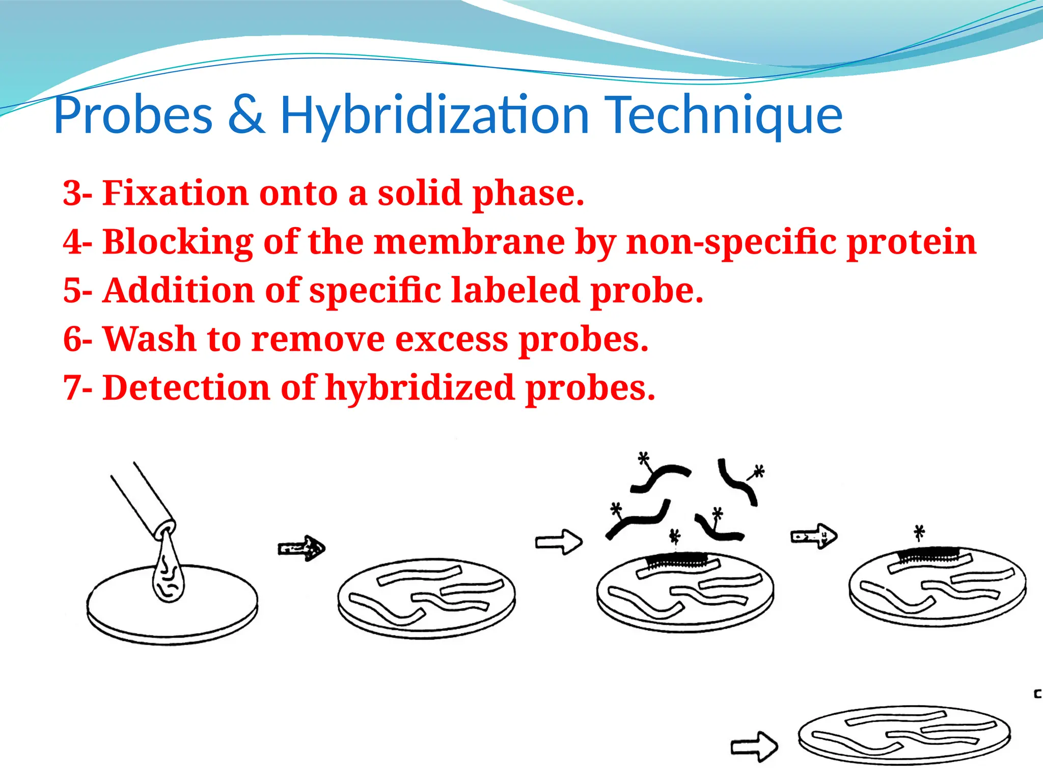 Biochemical Reaction and Molecular reaction to identify different ...