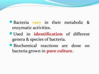 Biochemical Reaction - Prac. Microbiology | PPT