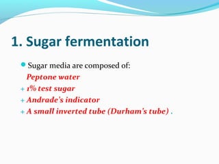 Biochemical Reaction - Prac. Microbiology | PPT