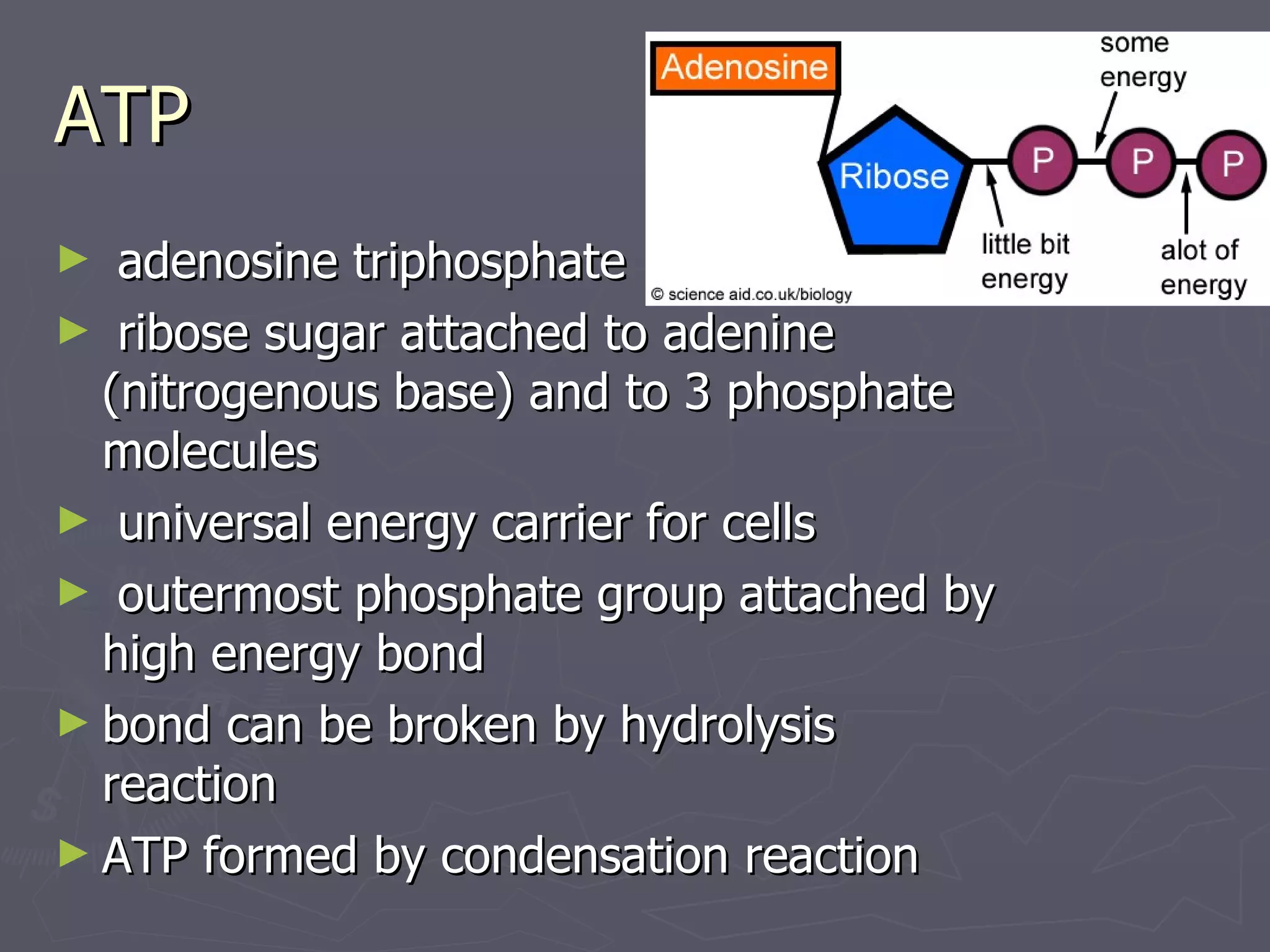Biochemical reactions | PPT