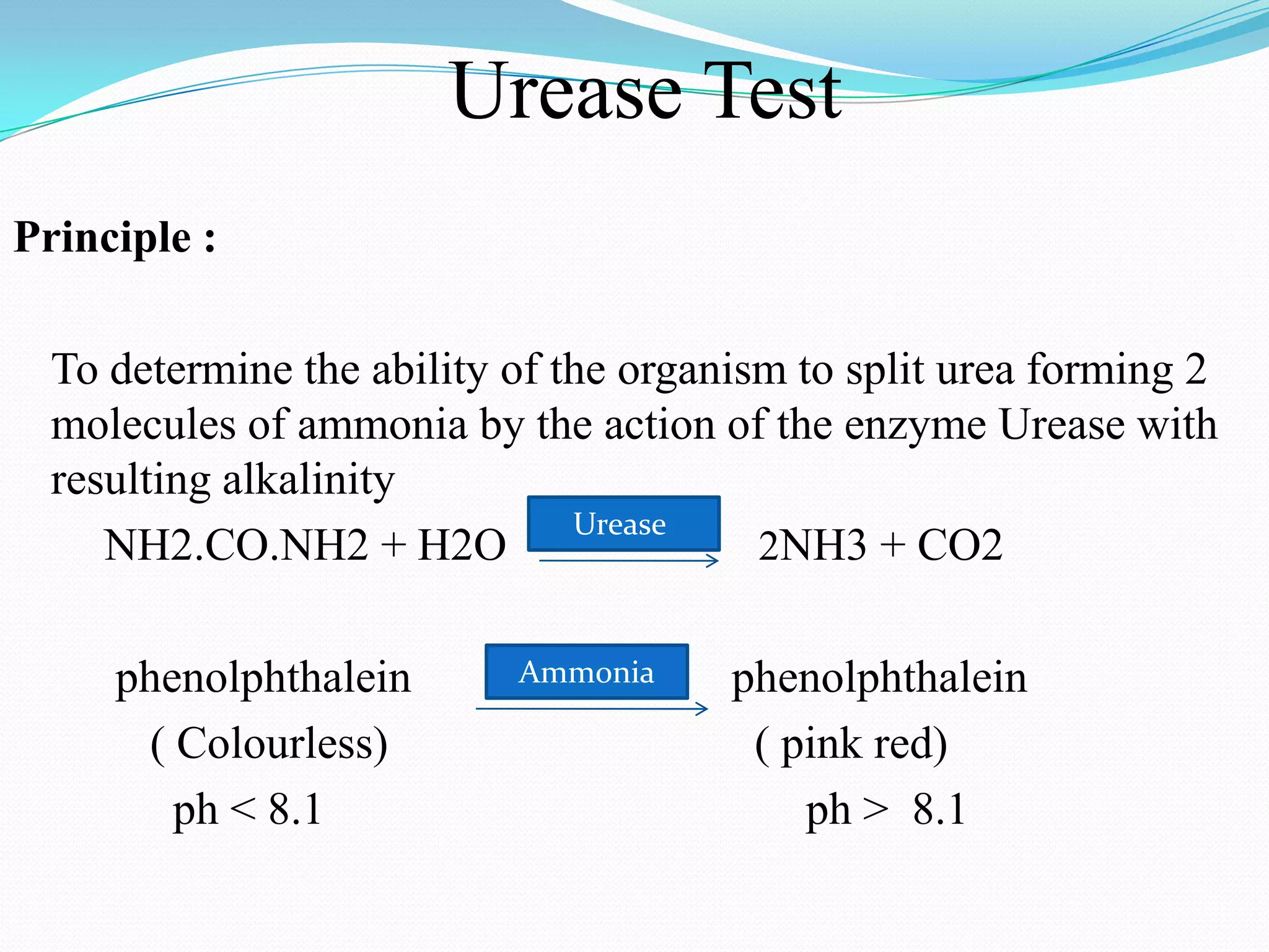 Biochemical reactions | PPTX