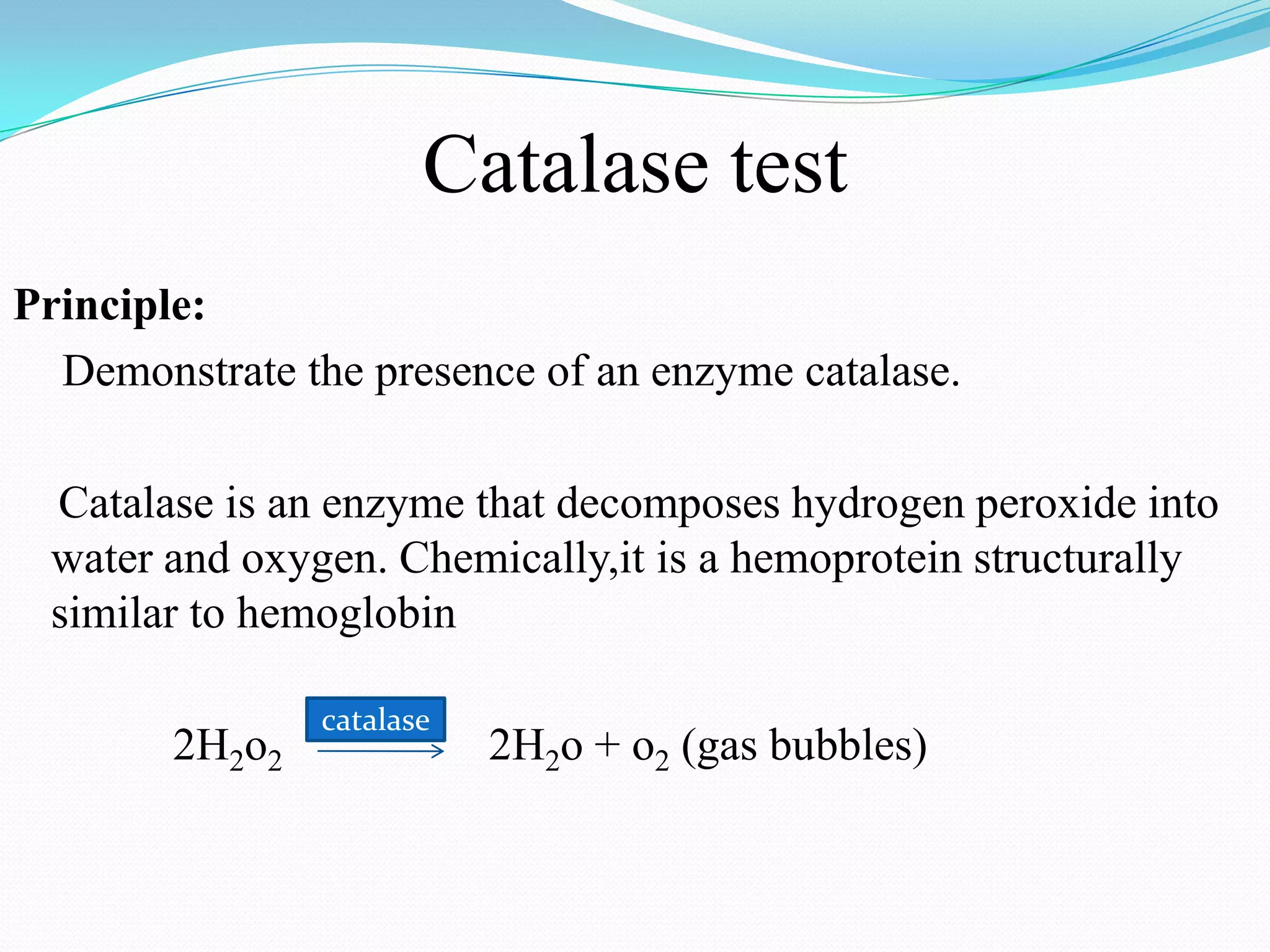 Biochemical reactions | PPTX